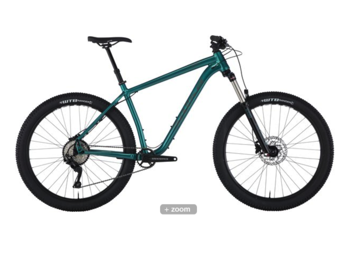 2019 Salsa Timberjack