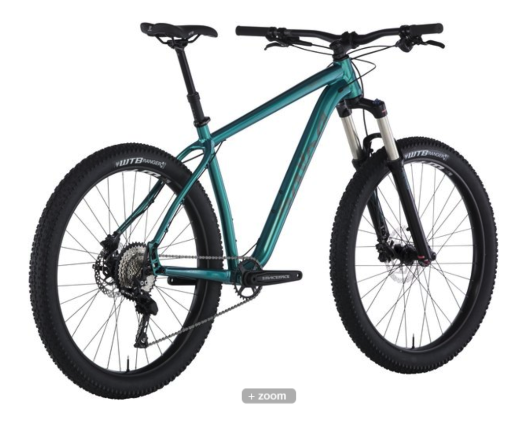 2019 Salsa Timberjack