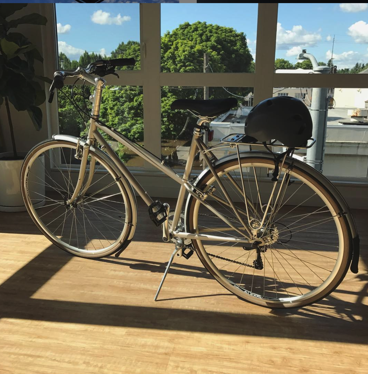 Stolen 2016 Handsome Cycles She Devil