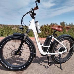 2020 Rad Power Bikes RadRover Step-Thru 1