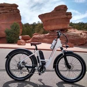 2020 Rad Power Bikes RadRover Step-Thru 1