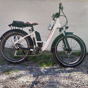 2020 Rad Power Bikes RadRover Step-Thru 1
