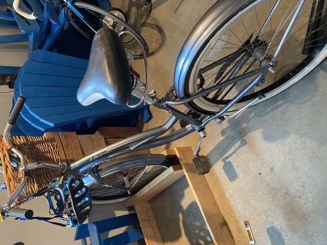 Trek Cruiser Classic