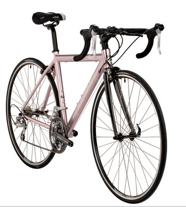 Stolen 2010 Scattante W-330