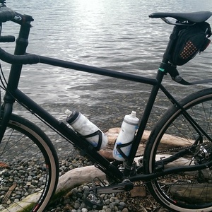 2014 Specialized AWOL