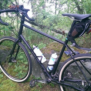 2014 Specialized AWOL