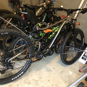 2020 Giant Reign 2