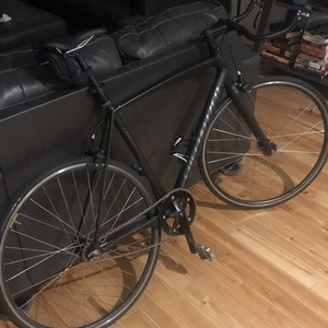 2016 Specialized Langster