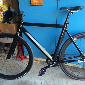 2015 Custom Unlabeled Defect Frame