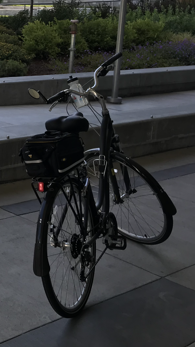 Stolen Jamis Citizen 3