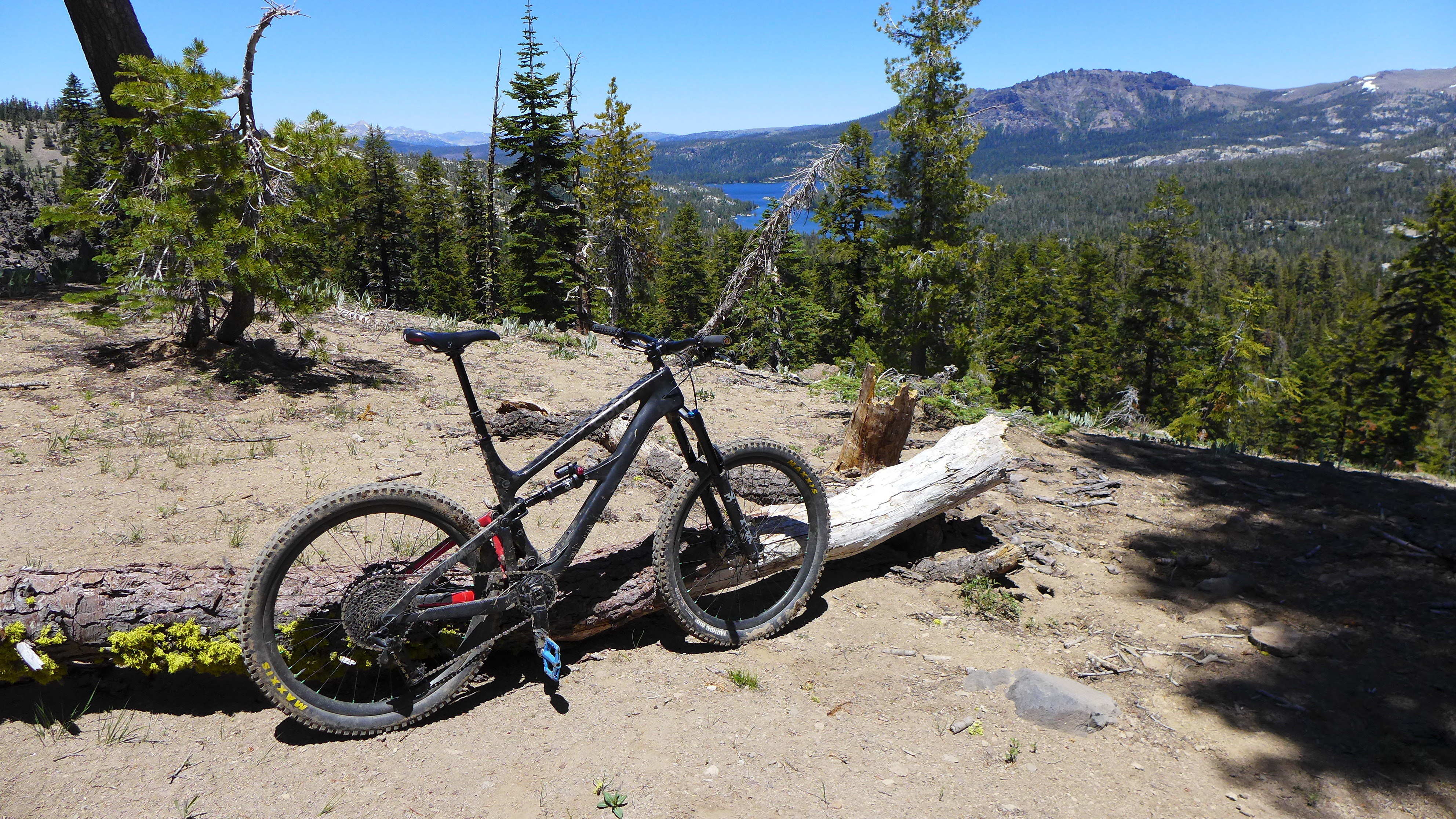 2019 Spot Rollik 150