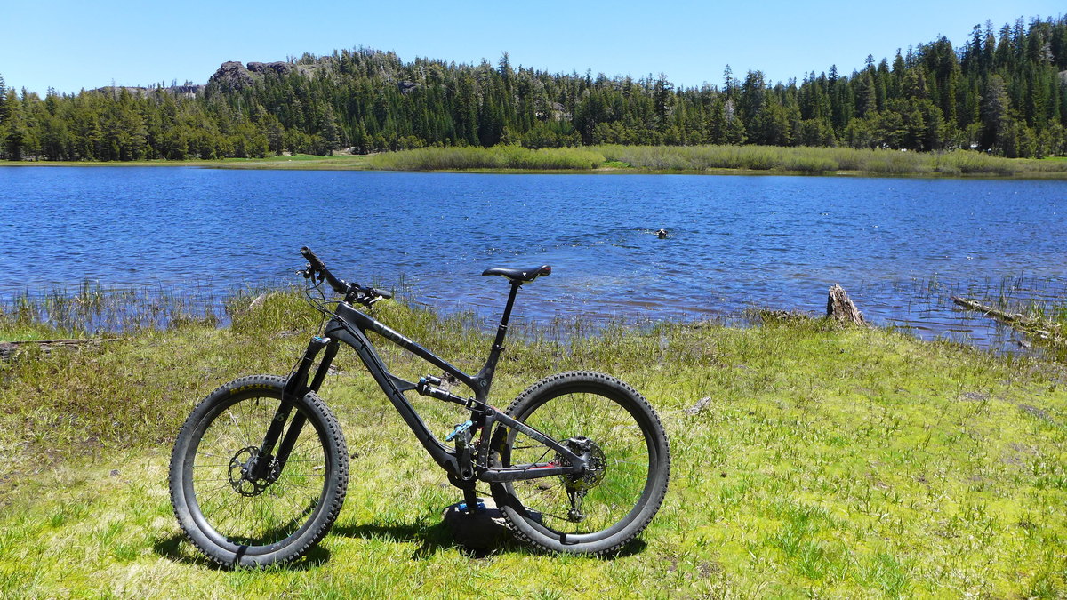 2019 Spot Rollik 150