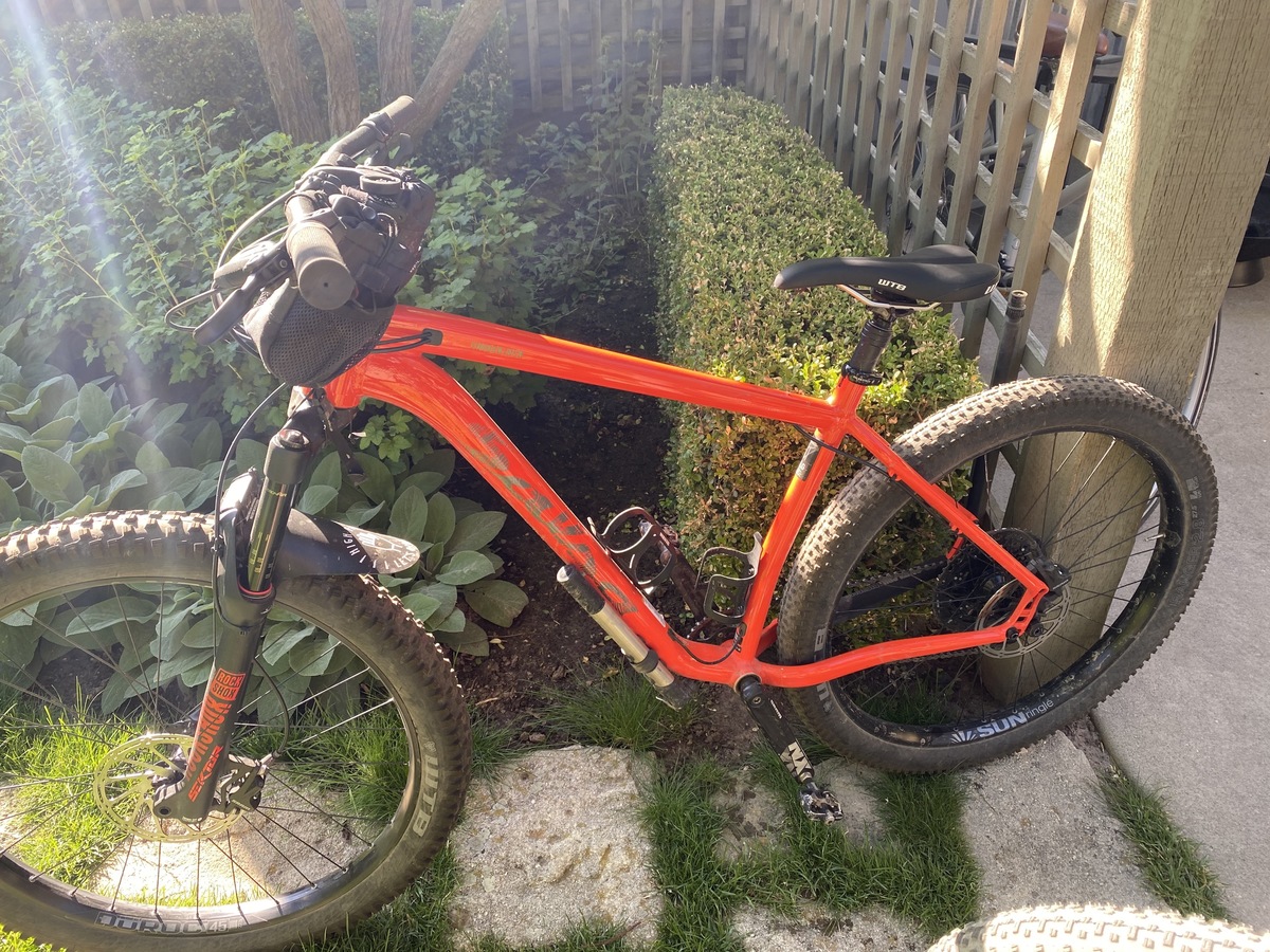 2020 Salsa Timberjack