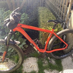 2020 Salsa Timberjack