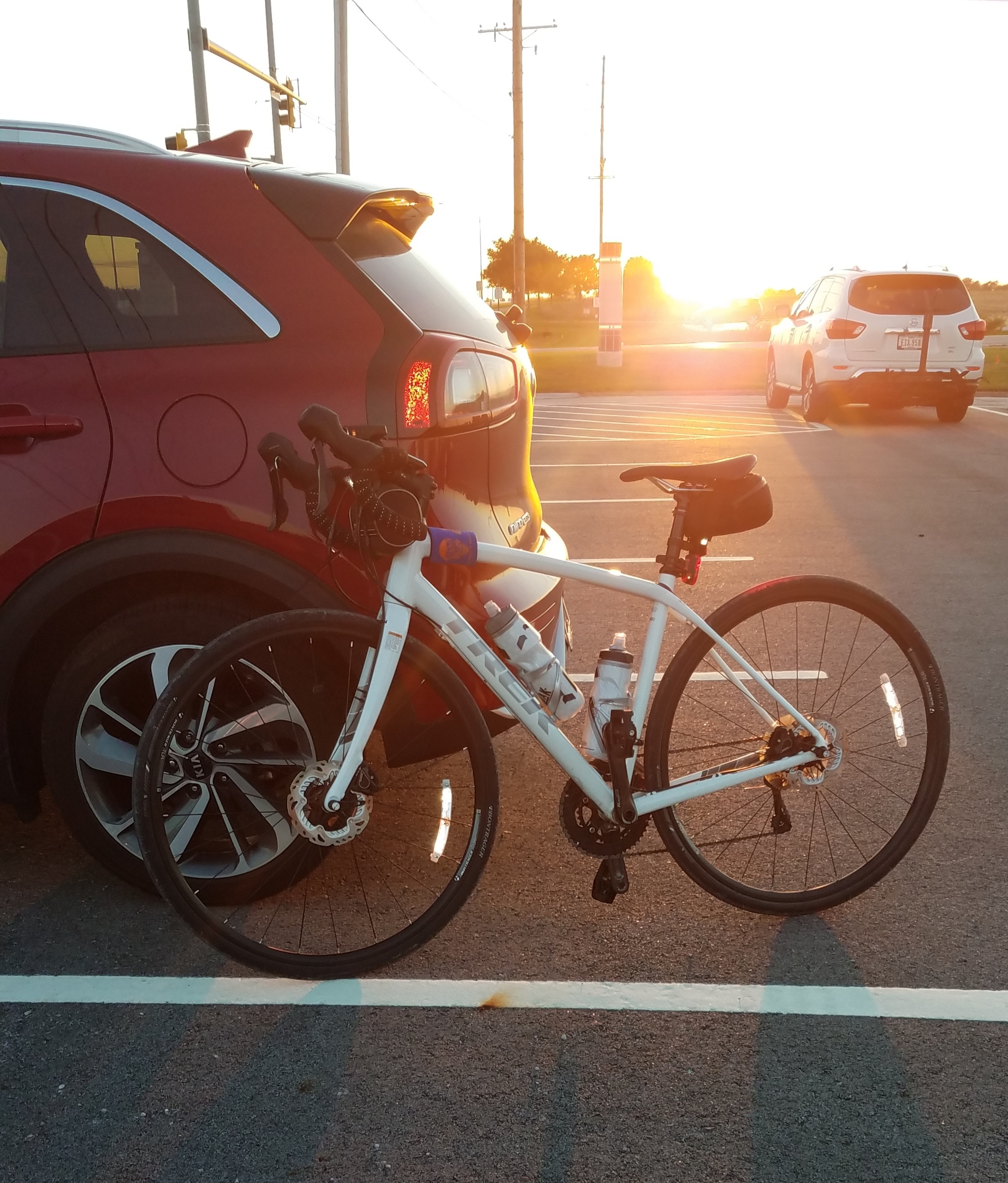 2018 Trek Domane ALR 4 Disc WSD 52