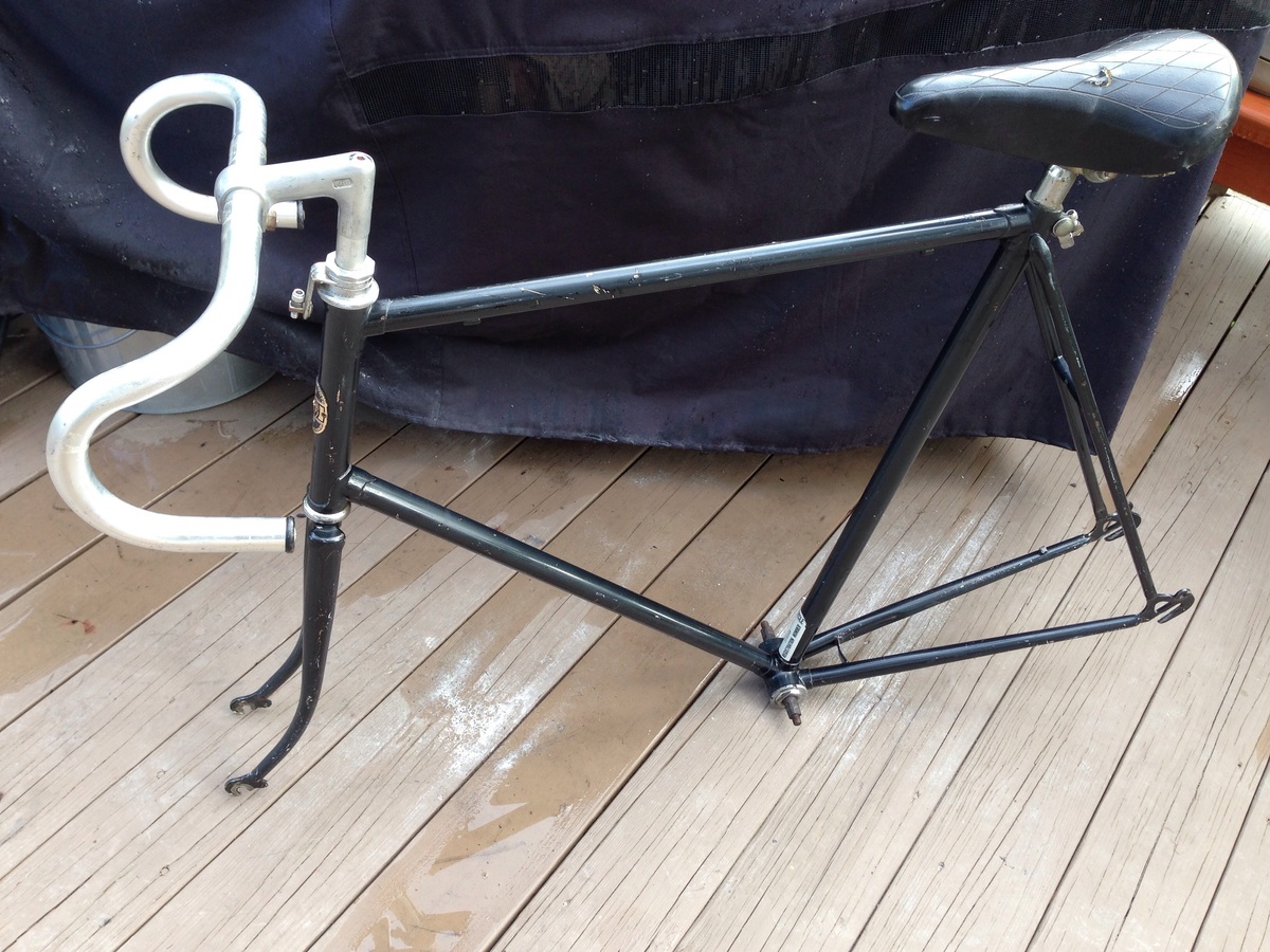 1981 Golden Sport GS Zebrakenko