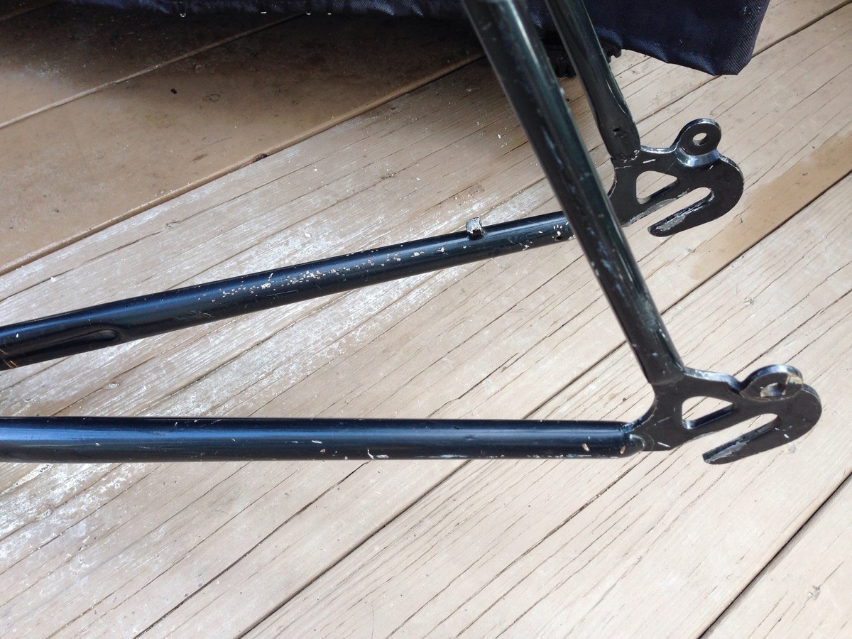 1981 Golden Sport GS Zebrakenko