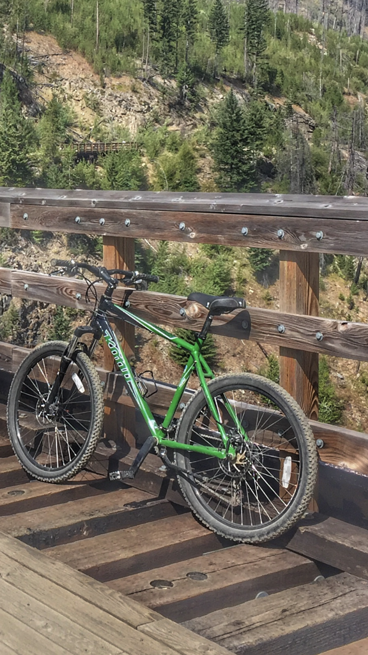 Stolen 2010 Kona Nunu