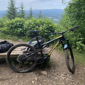 Stolen 2020 Nukeproof Reactor Pro 290