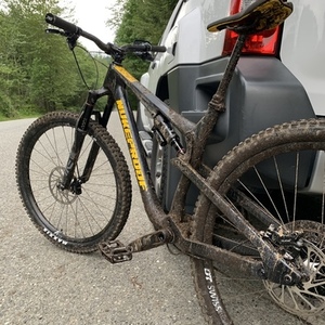 Stolen 2020 Nukeproof Reactor Pro 290