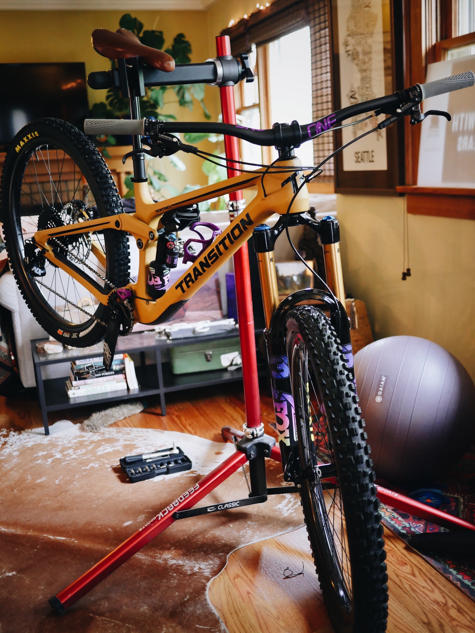 2020 Transition Bikes Sentinel