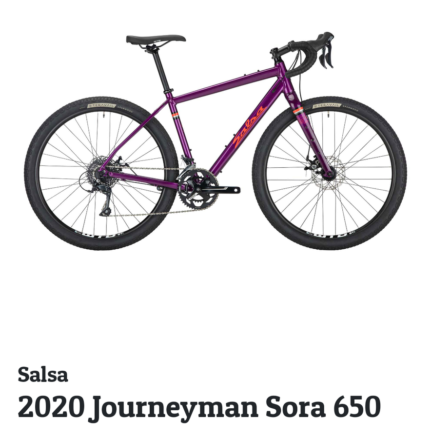 2020 Salsa Journeyman Sora 650