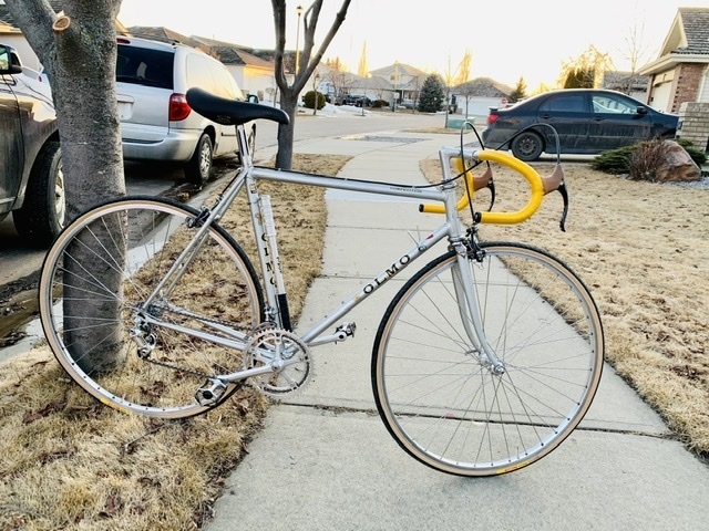 1978 Olmo Competition