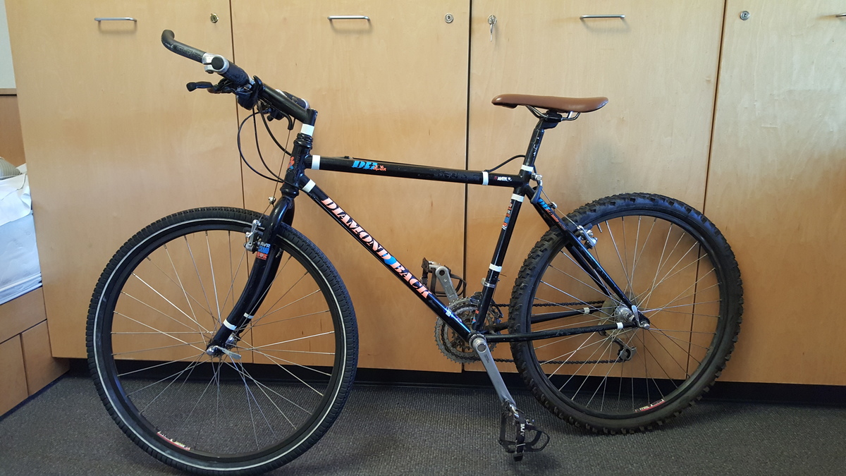 1991 Diamondback Apex