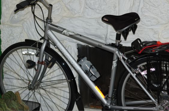 Stolen 2008 Mongoose Crossway 250