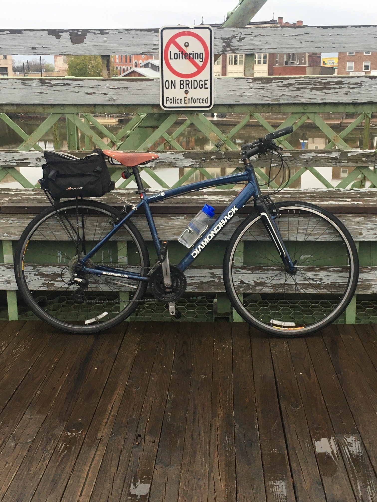 2009 Diamondback Insight 1