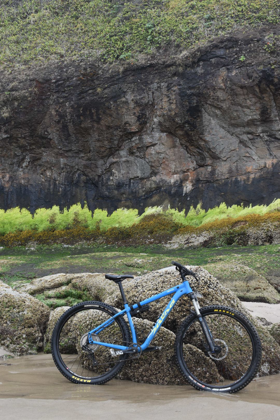 Stolen Salsa Timberjack