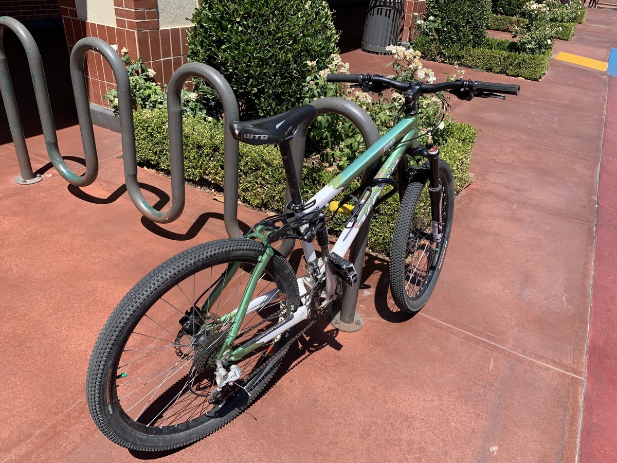 Stolen 2009 Kona Dawg