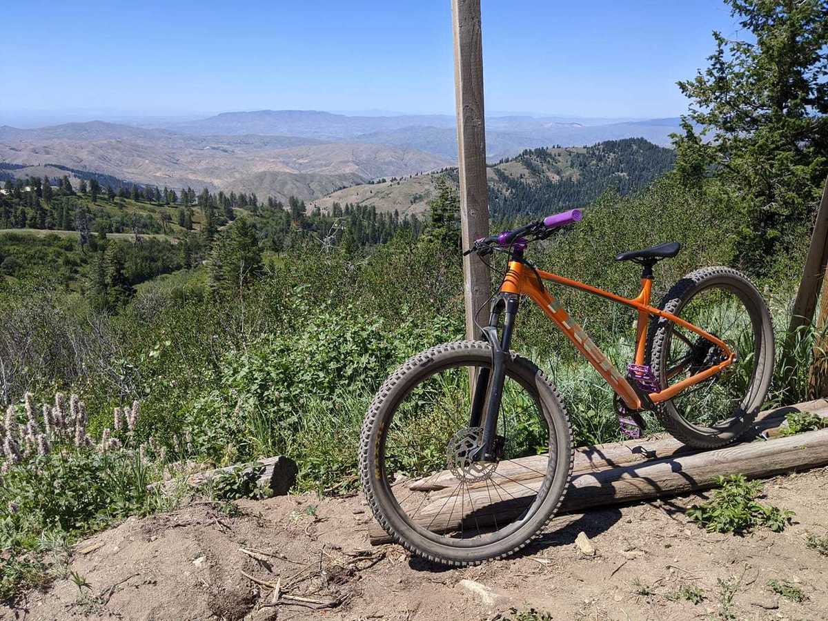 2020 Trek Roscoe 7