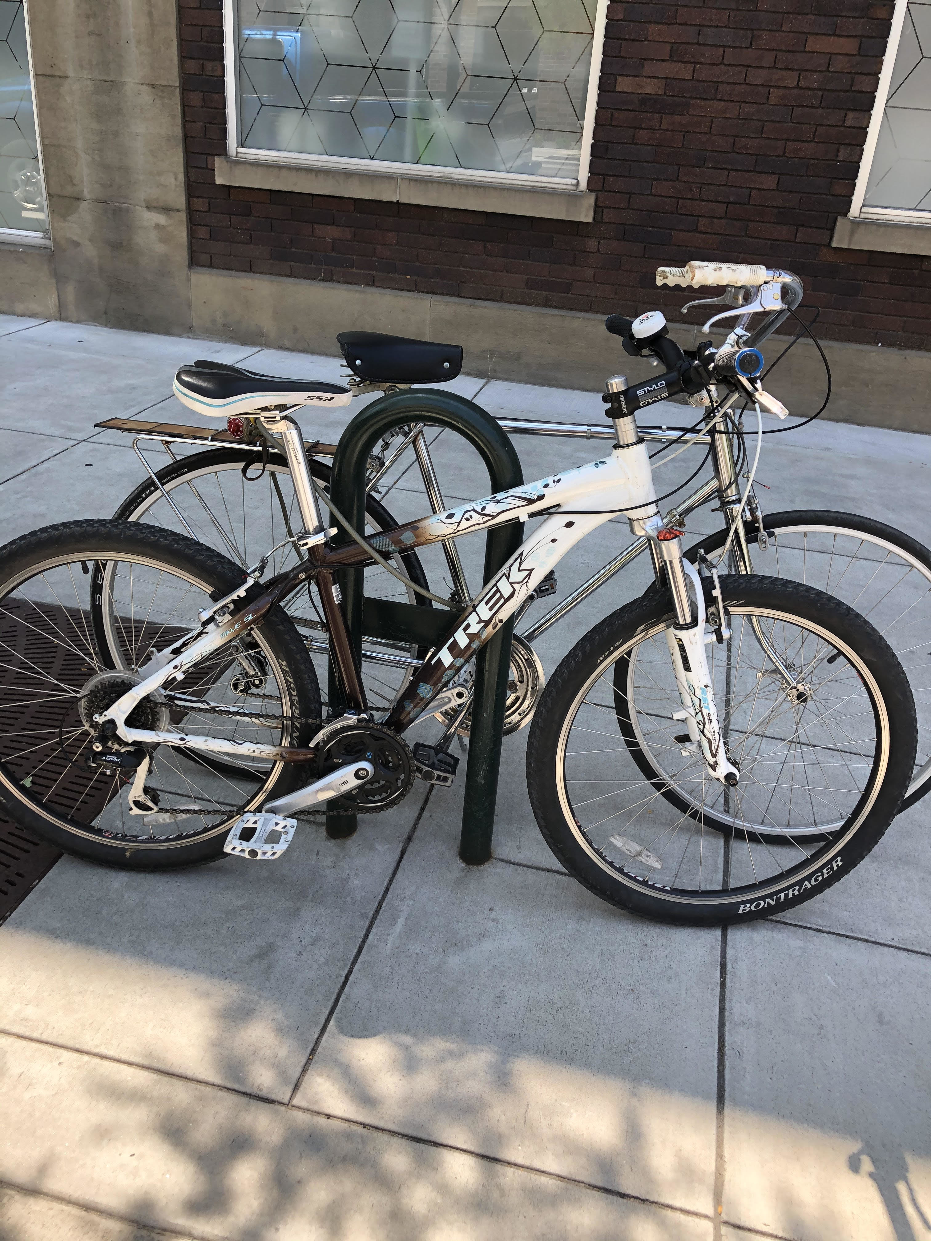 2010 Trek WSD