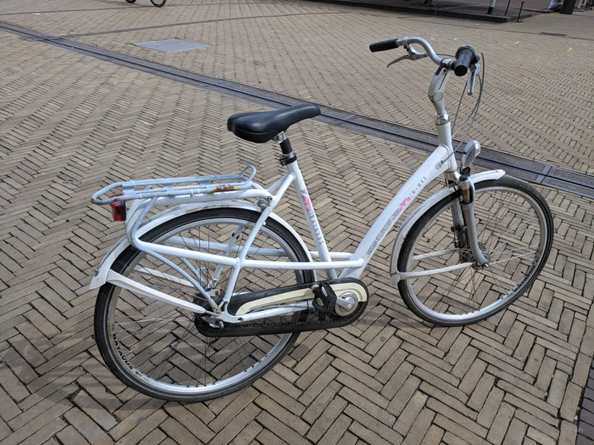 Batavus Mambo