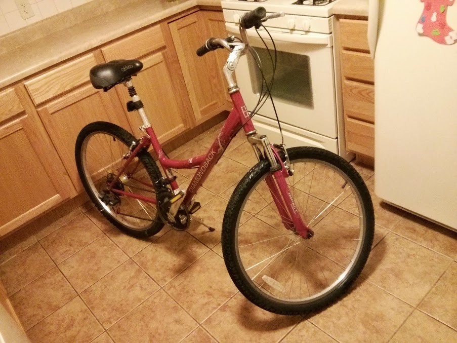 Stolen 2007 Diamondback hybrid
