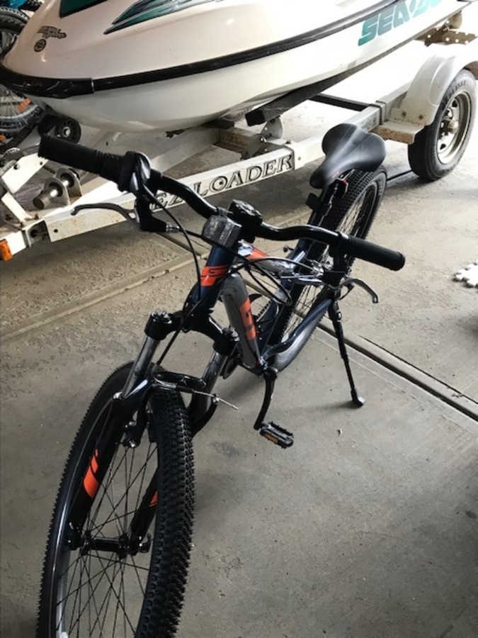 2020 GT Bicycles GT