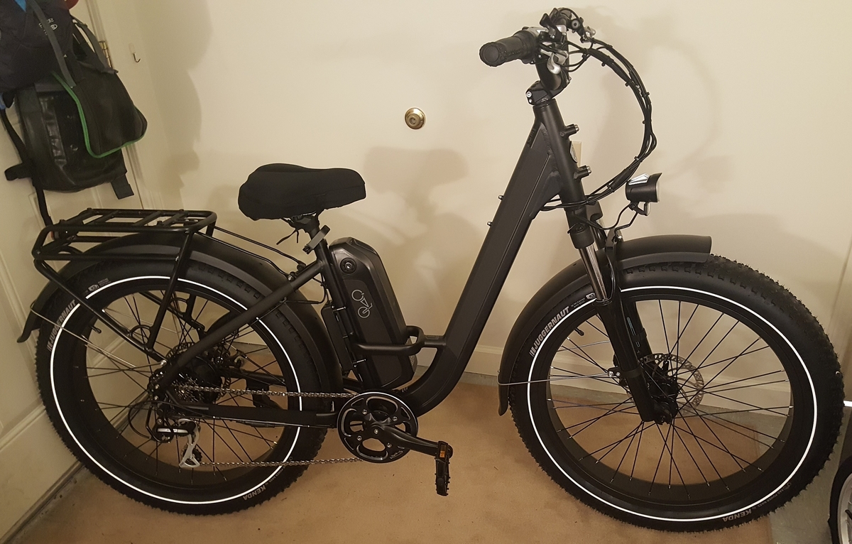 2020 Rad Power Bikes RadRover Step-Thru 1