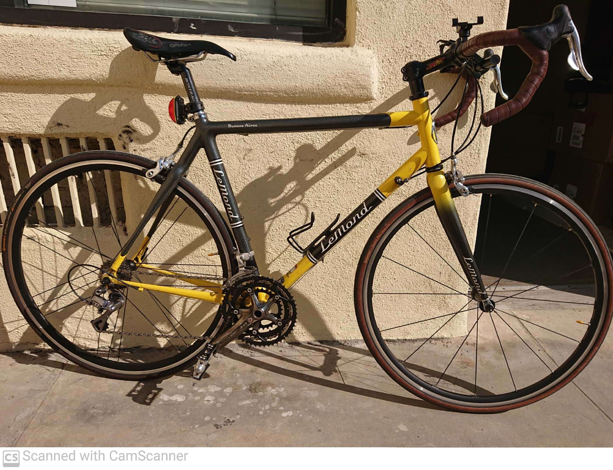 Stolen 2005 LeMond Racing Cycles Buenos Aires