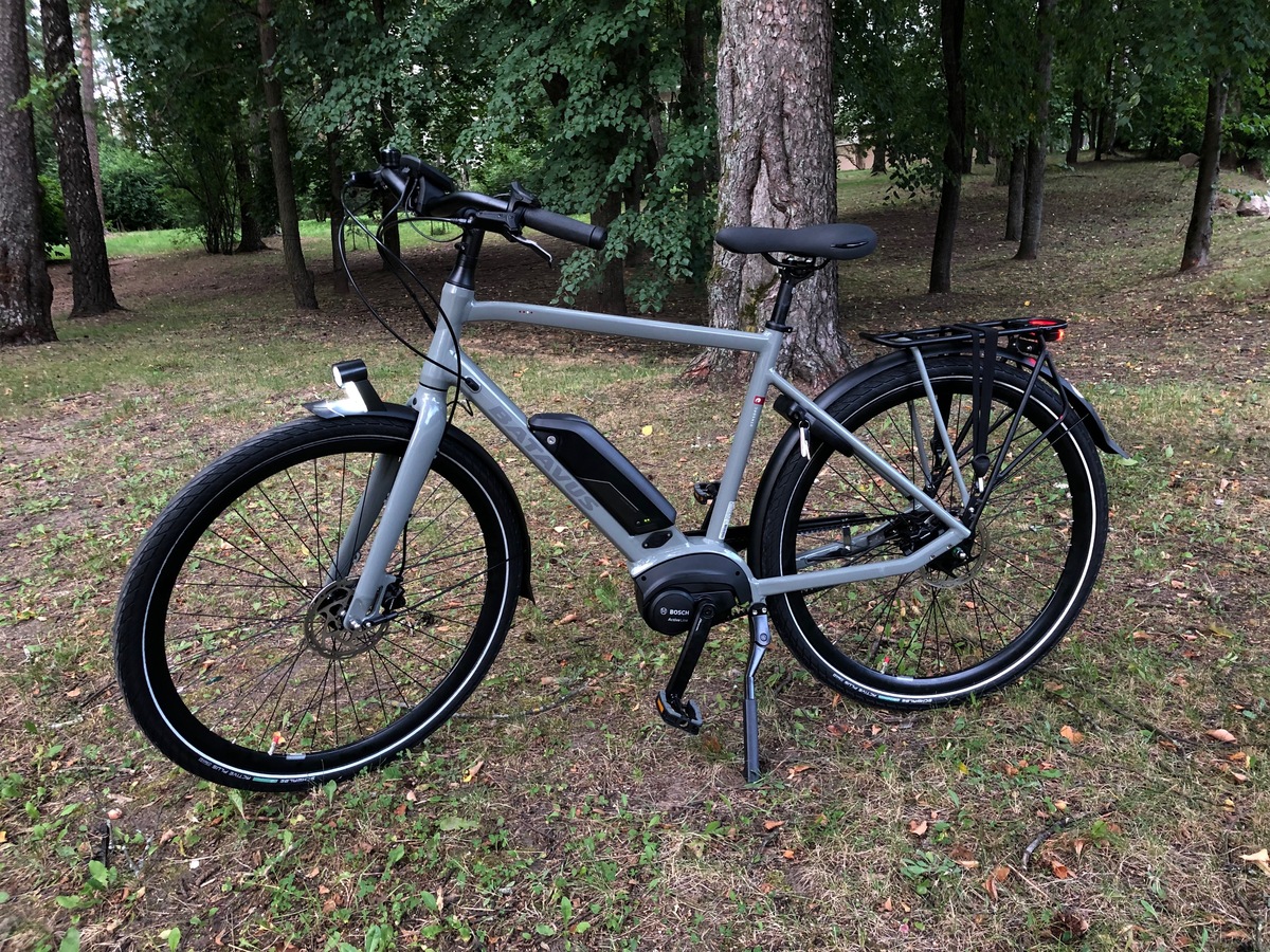 2020 Batavus Dinsdag E-go Exclusive