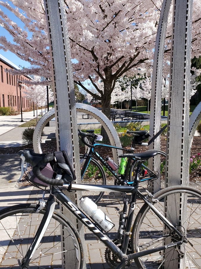 Stolen 2012 SCOTT 550 Speedster