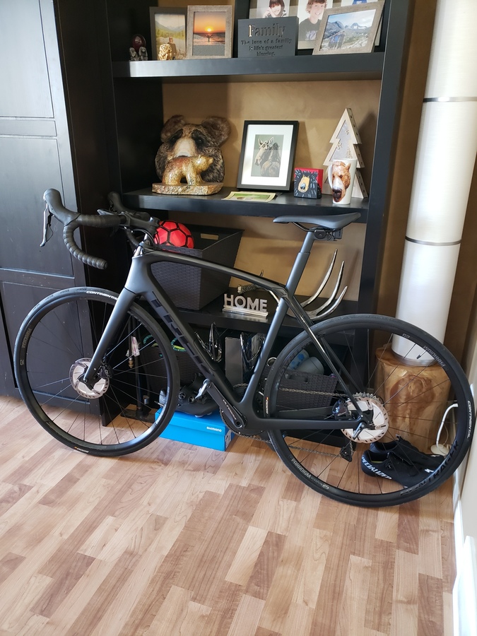 2020 Trek Domane SL6