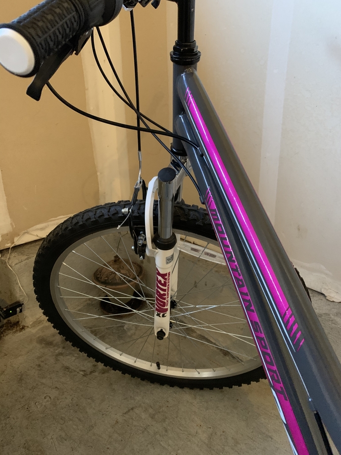 2020 Pacific Cycle 261021P