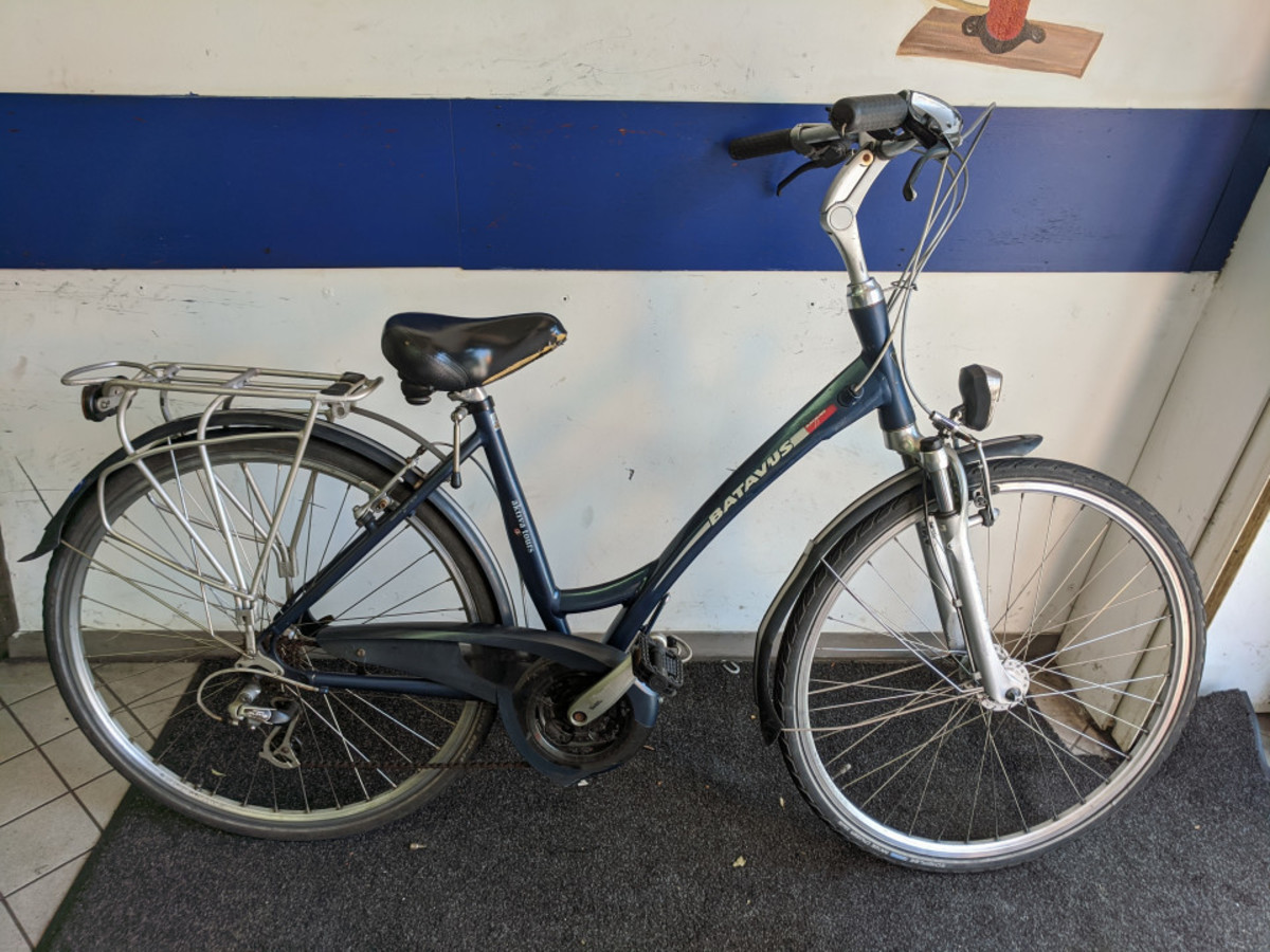 Batavus