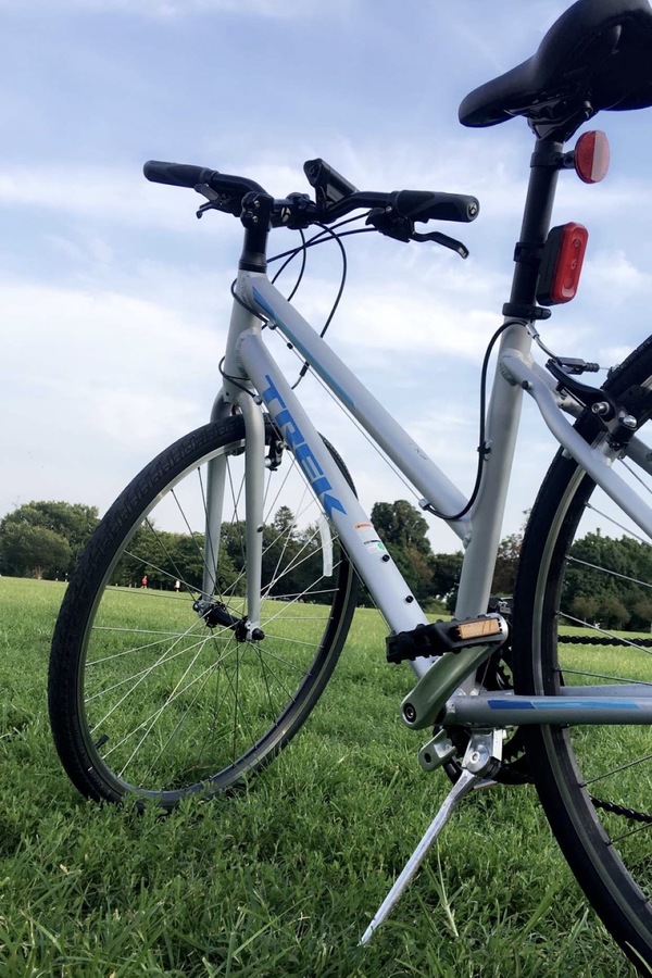 Stolen 2019 Trek FX1