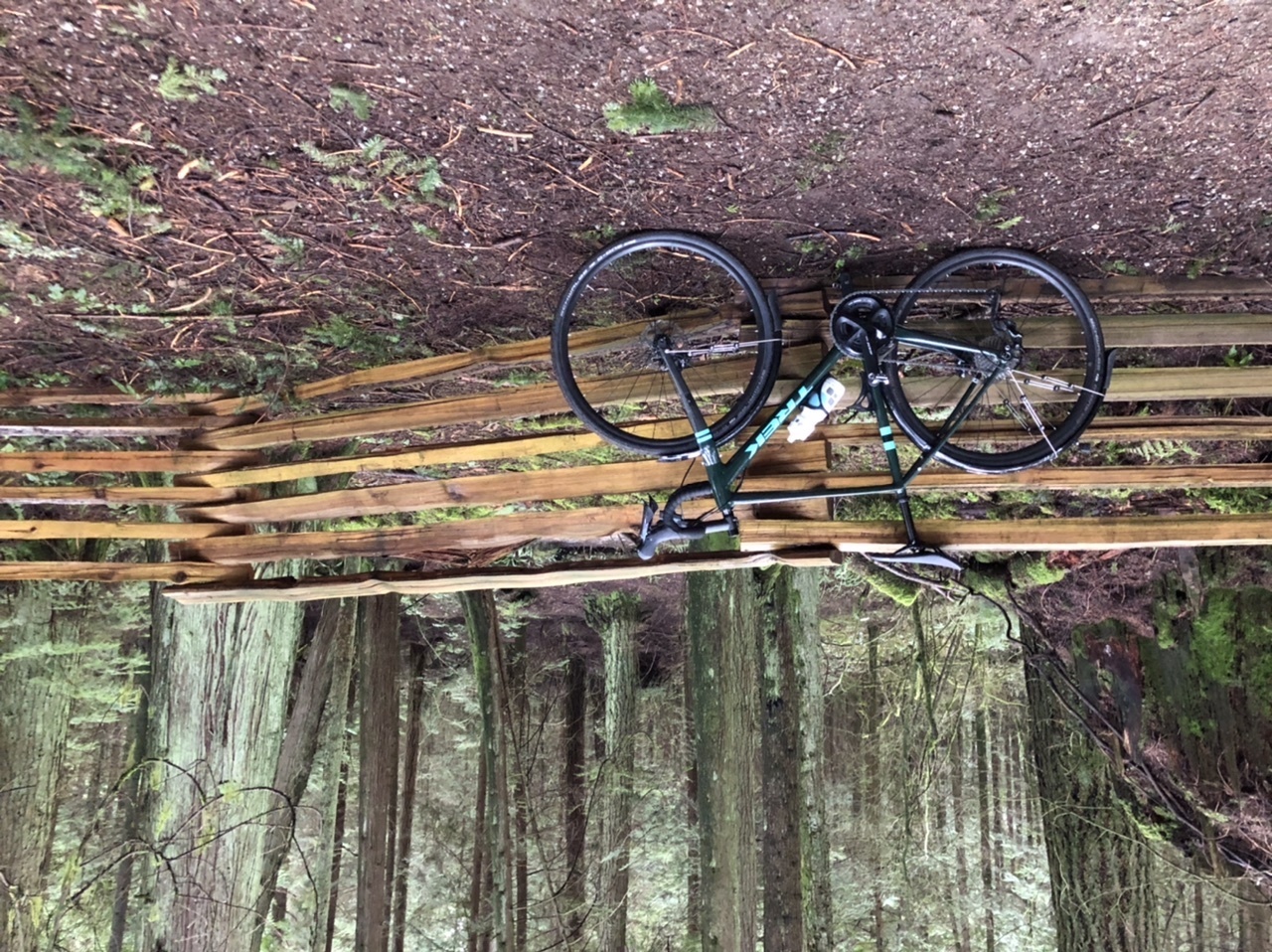 2020 Trek Checkpoint ALR5