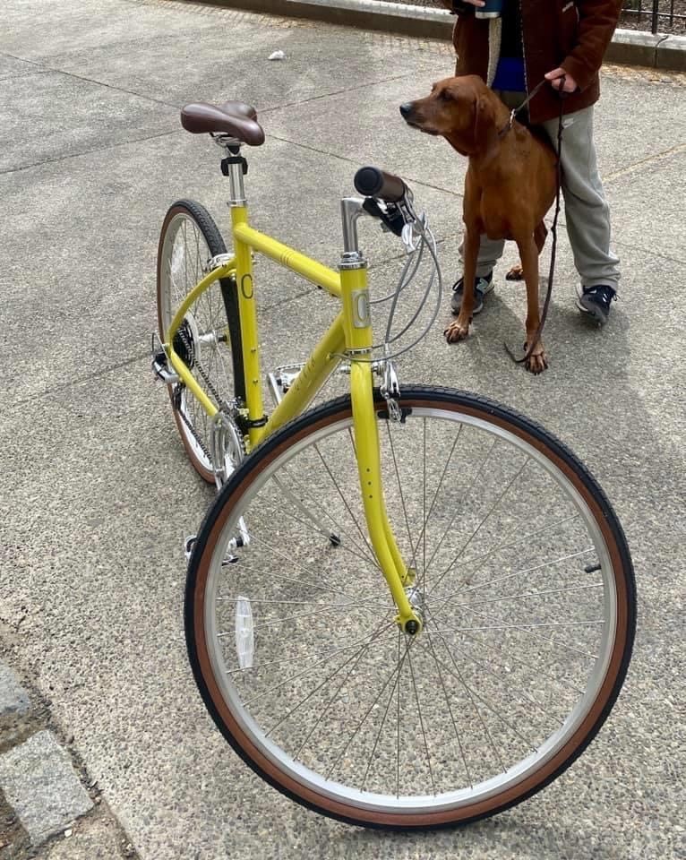 Stolen 2020 Civia Venue 24-Speed