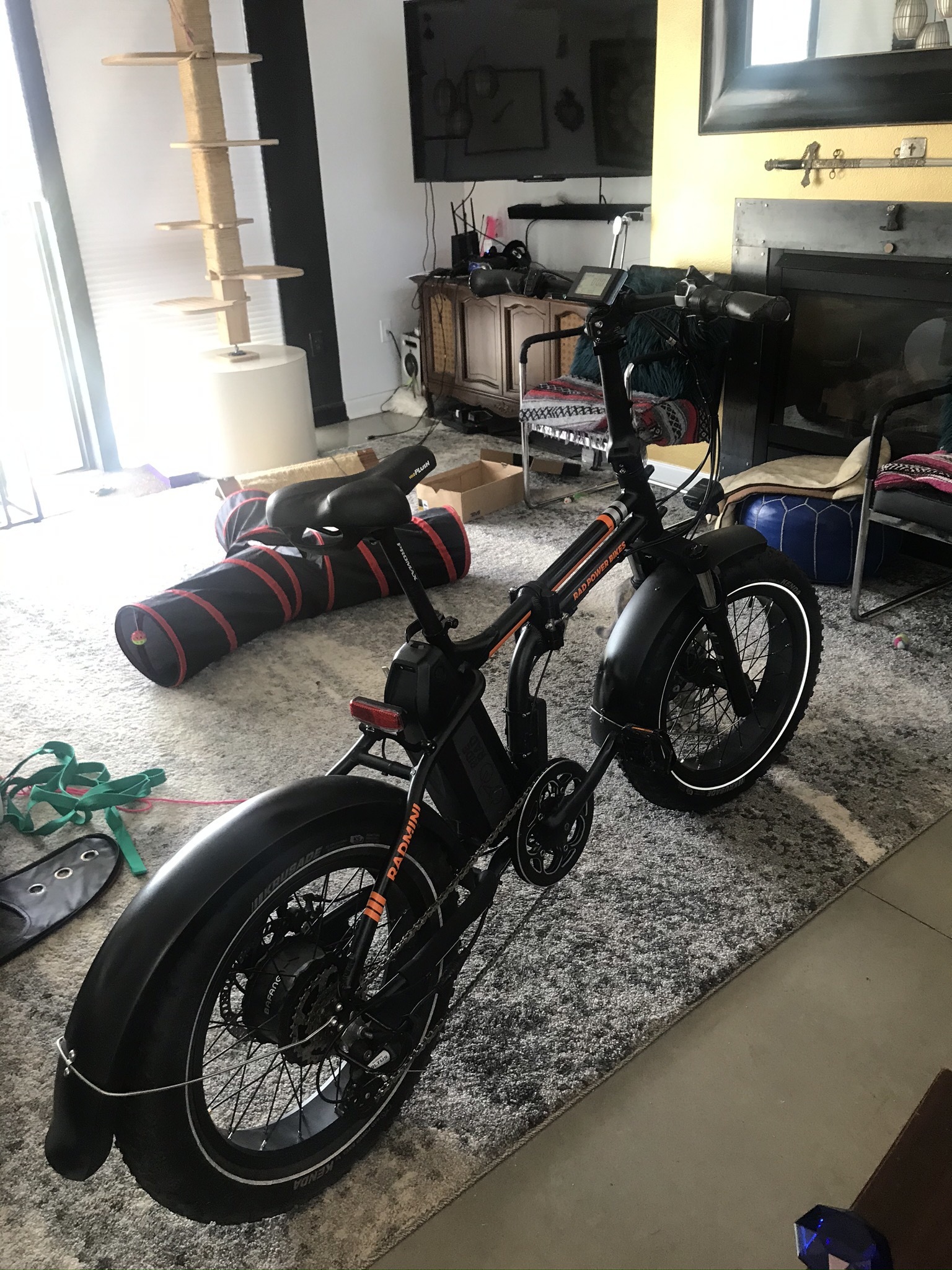 2019 Rad Power Bikes standard
