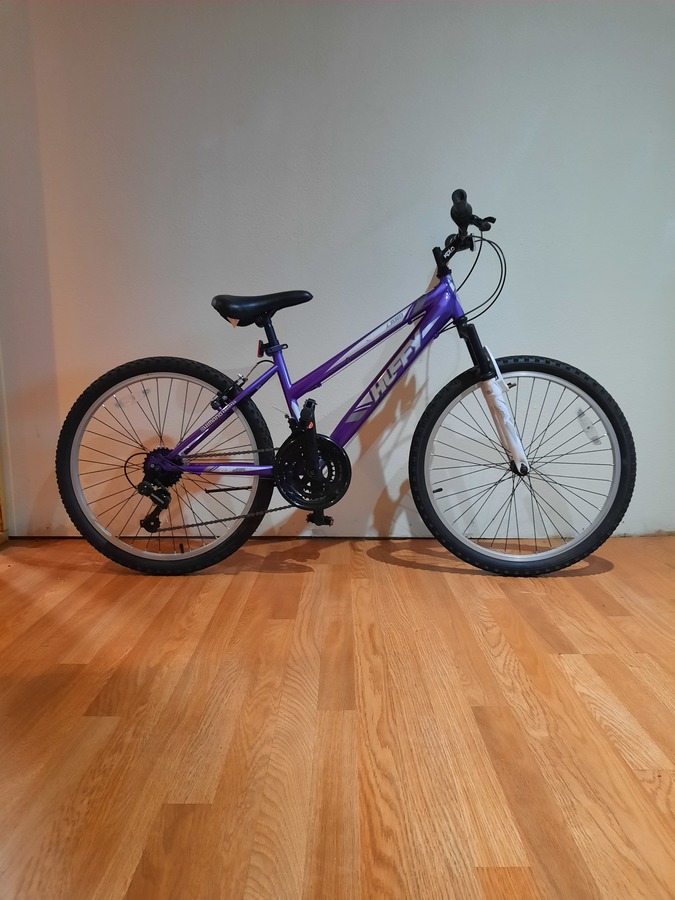 2016 Huffy Hi-Ten Steel