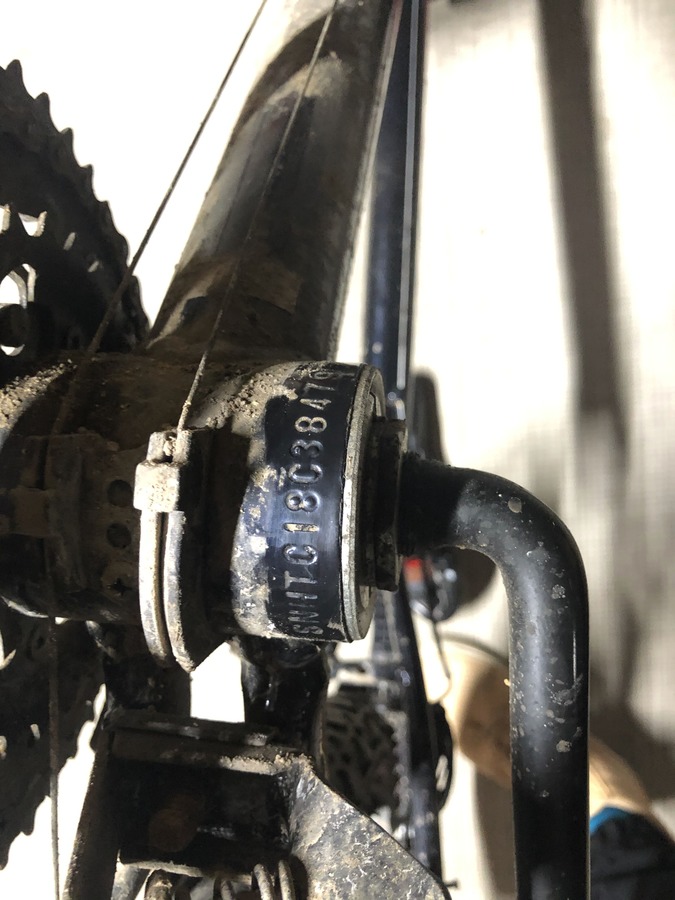 2020 Movelo